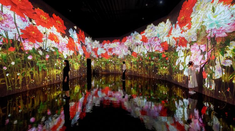 北京teamLab无相艺术空间游玩攻略-teamLab无相艺术空间门票多少钱/价格表-团购票价预定优惠-景点地址在哪里/图片介绍/参观预约/旅游游览顺序攻略及注意事项/营业时间-【携程攻略】