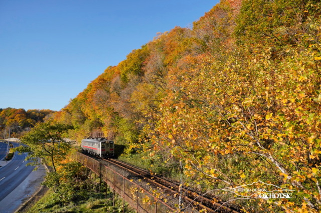 8月-11月！北海道道东地区必去打卡景点推荐（含非诚勿扰景点） - 北海道游记攻略【携程攻略】