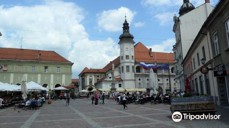 CenterGrajski Trg square游玩攻略-Grajski Trg square门票多少钱/价格表-团购票价预定优惠-景点地址在 ...