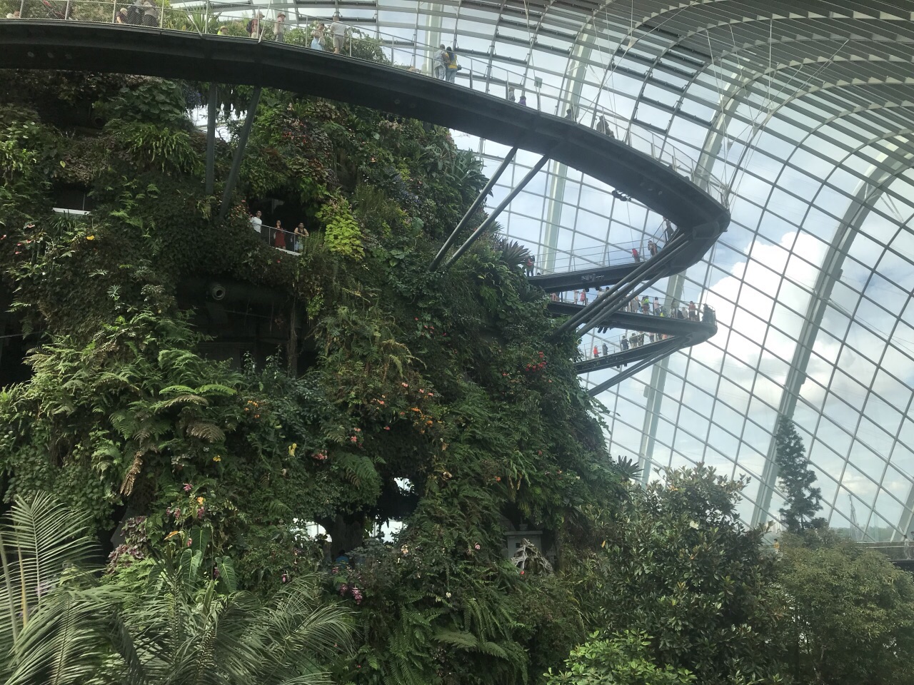 2019云雾森林玻璃屋_旅游攻略_门票_地址_游记点评,新加坡旅游景点推荐 - 去哪儿攻略社区