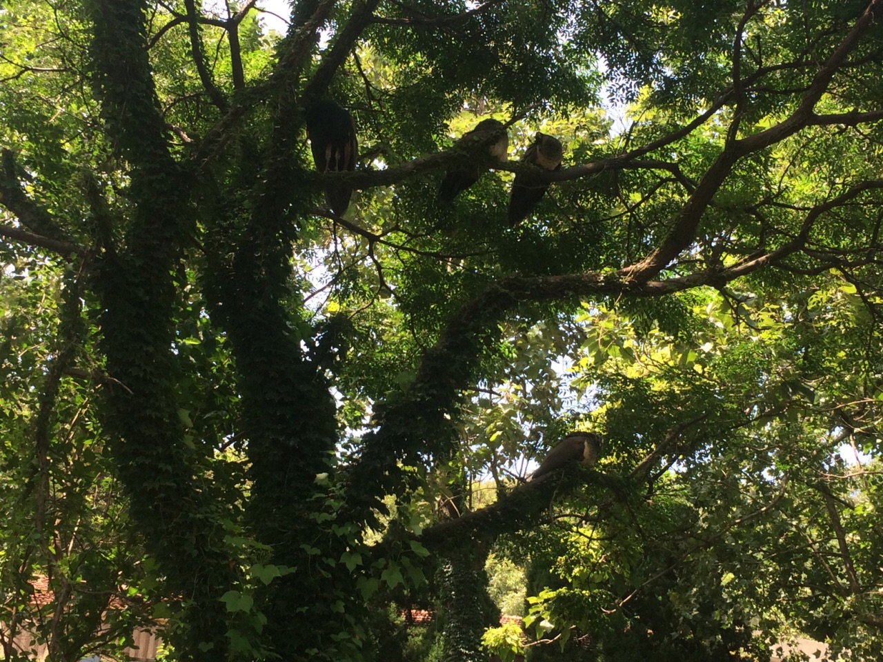 2024连岛游玩攻略,最好晚上进岛，清晨沿着环岛...【去哪儿攻略】