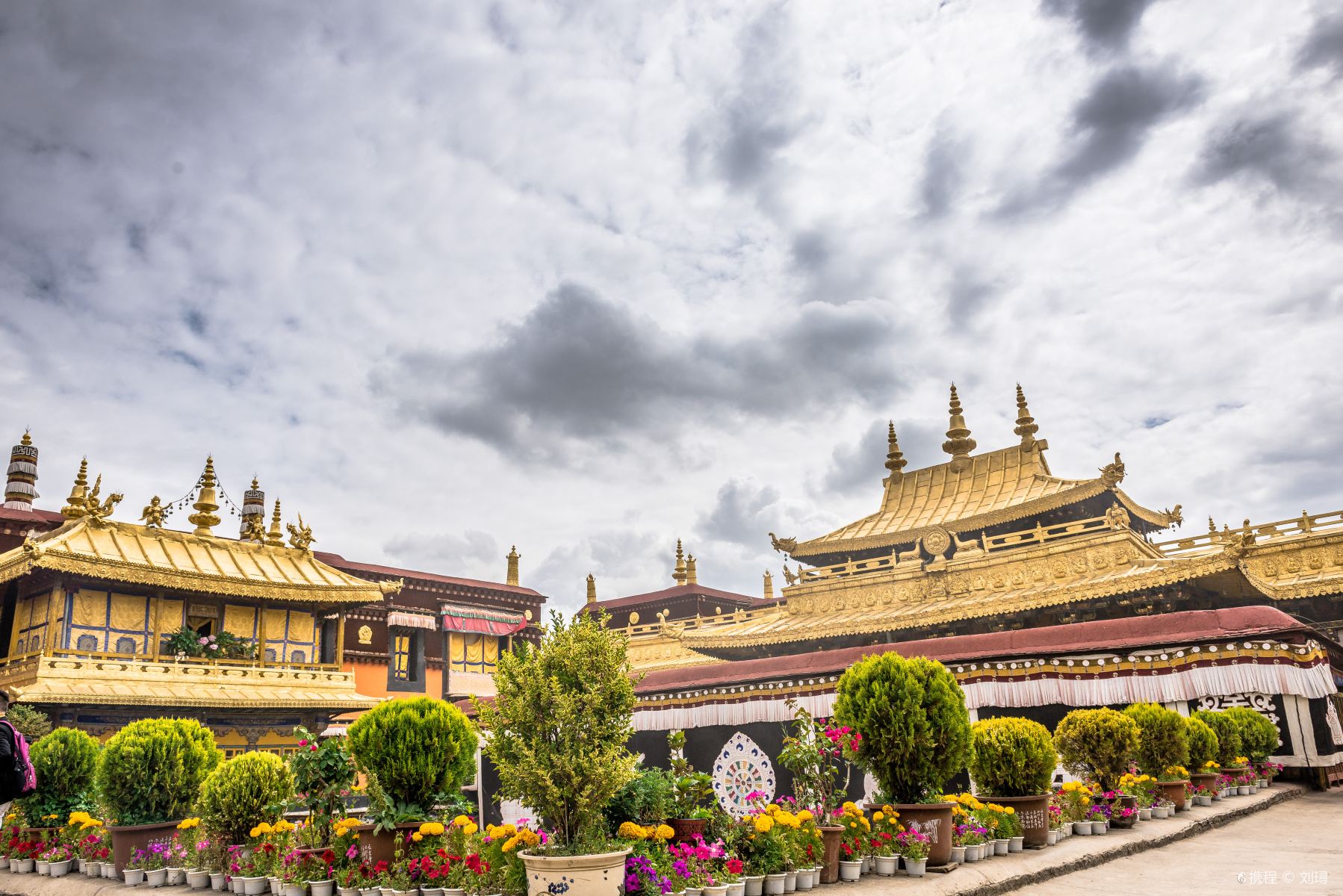 2021大昭寺-旅游攻略-门票-地址-问答-游记点评，拉萨旅游旅游景点推荐-去哪儿攻略