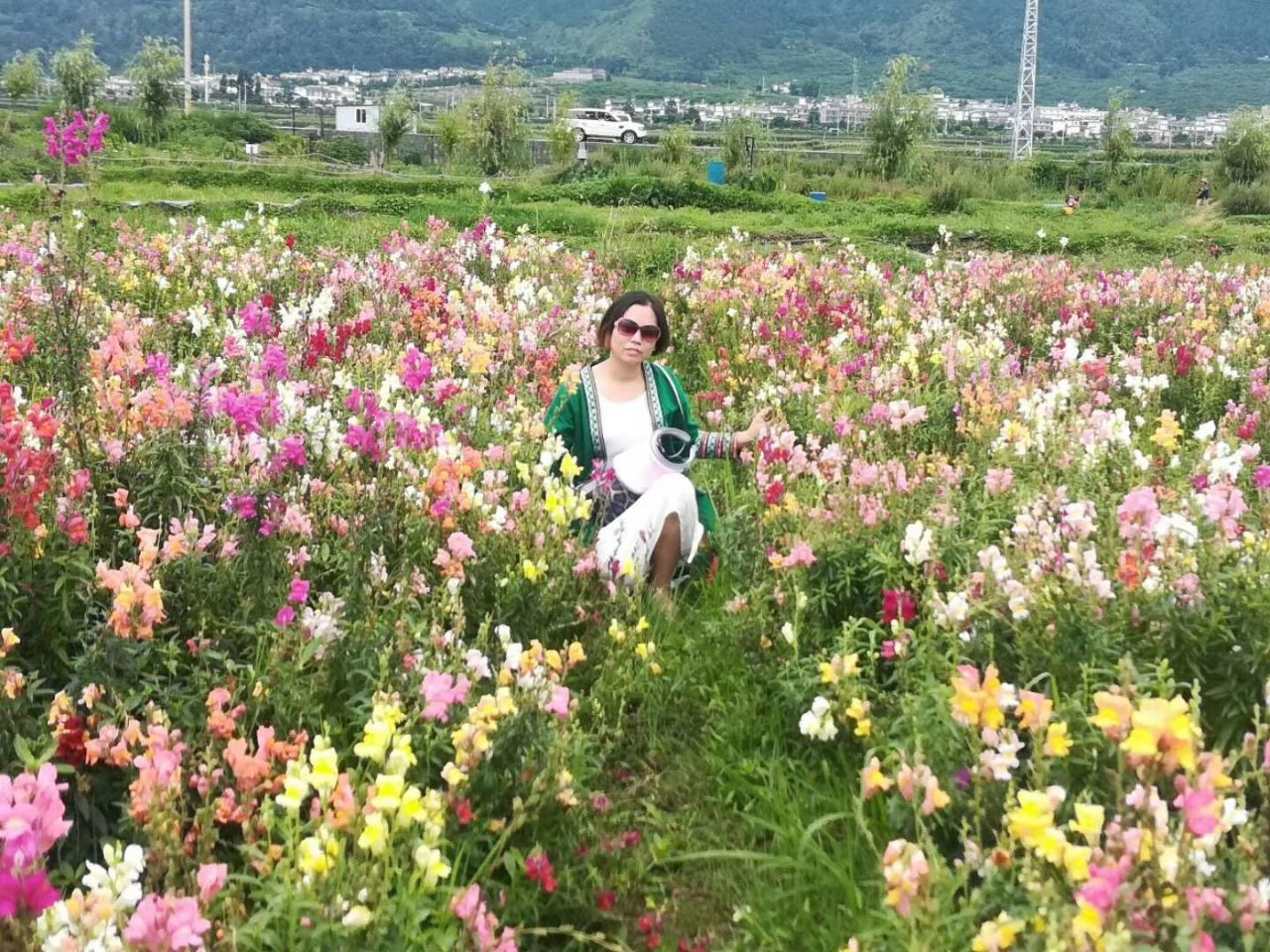 2019花语牧场_旅游攻略_门票_地址_游记点评,喜洲旅游景点推荐 - 去哪儿攻略社区