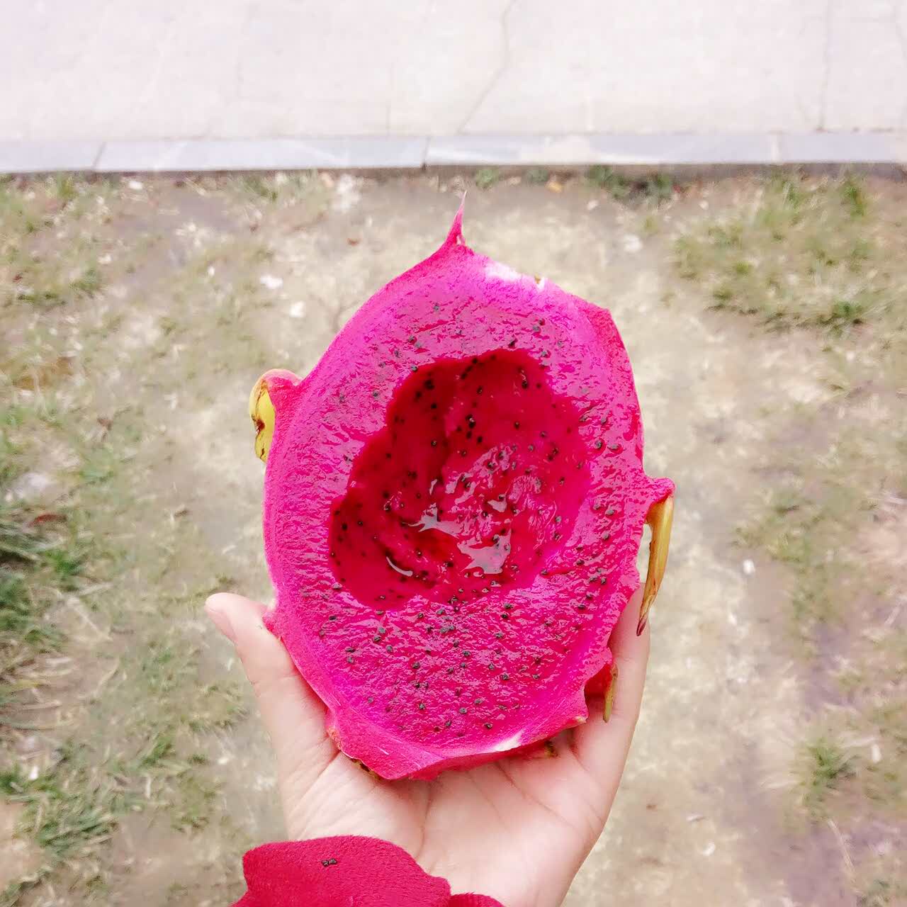 2025DQ·蛋糕·冰淇淋(中环店)美食餐厅,环境不错噢，棒棒哒！！！！... 【去哪儿攻略】