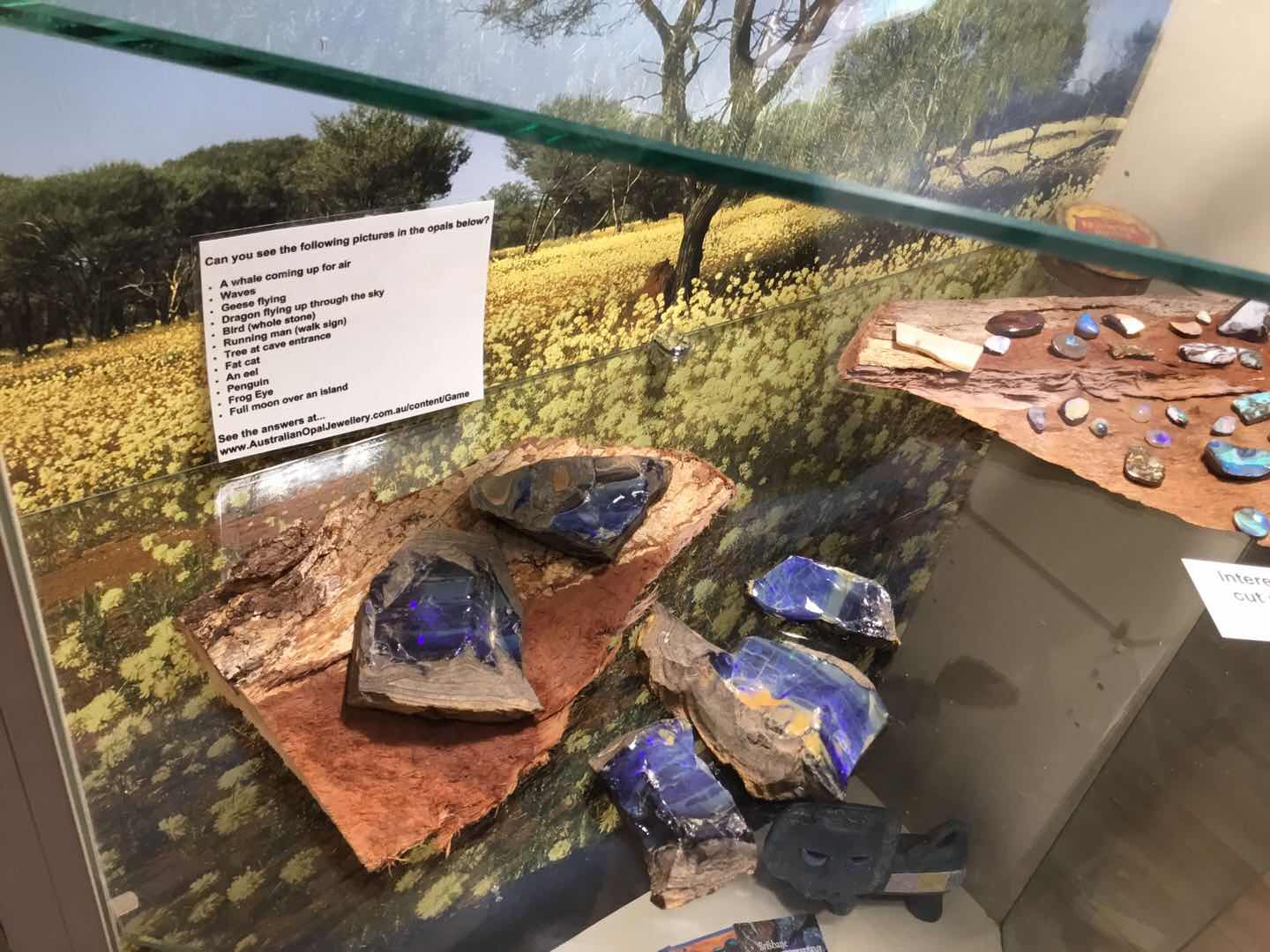 2022Brisbane Opal Museum游玩攻略,展馆附近的风景不错，出馆之...【去哪儿攻略】