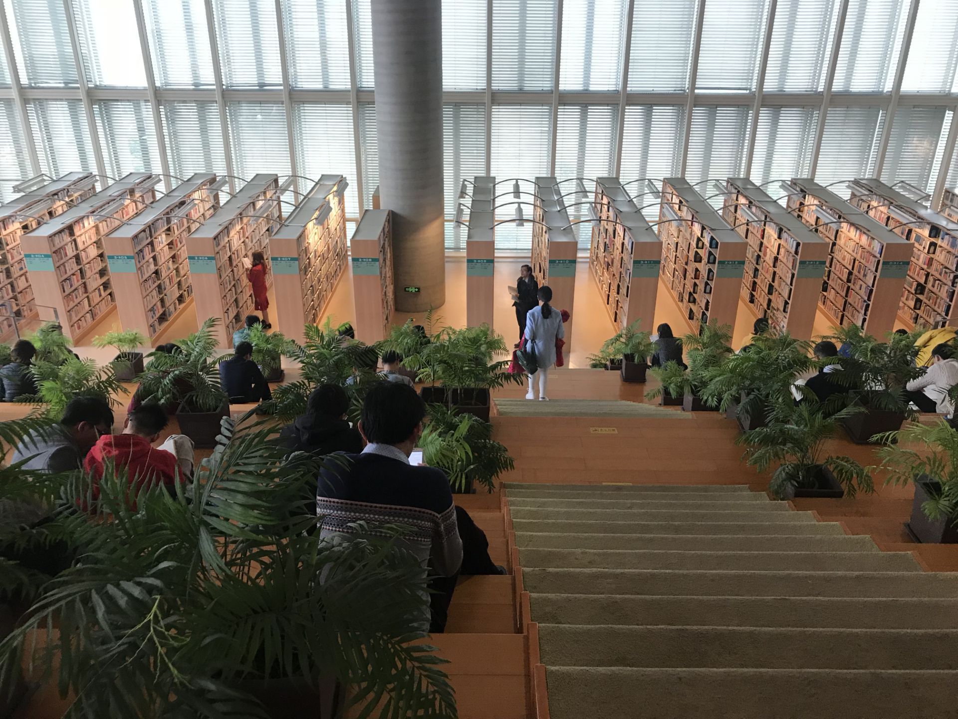 2020浦东图书馆-旅游攻略-门票-地址-问答-游记点评，上海旅游旅游景点推荐-去哪儿攻略