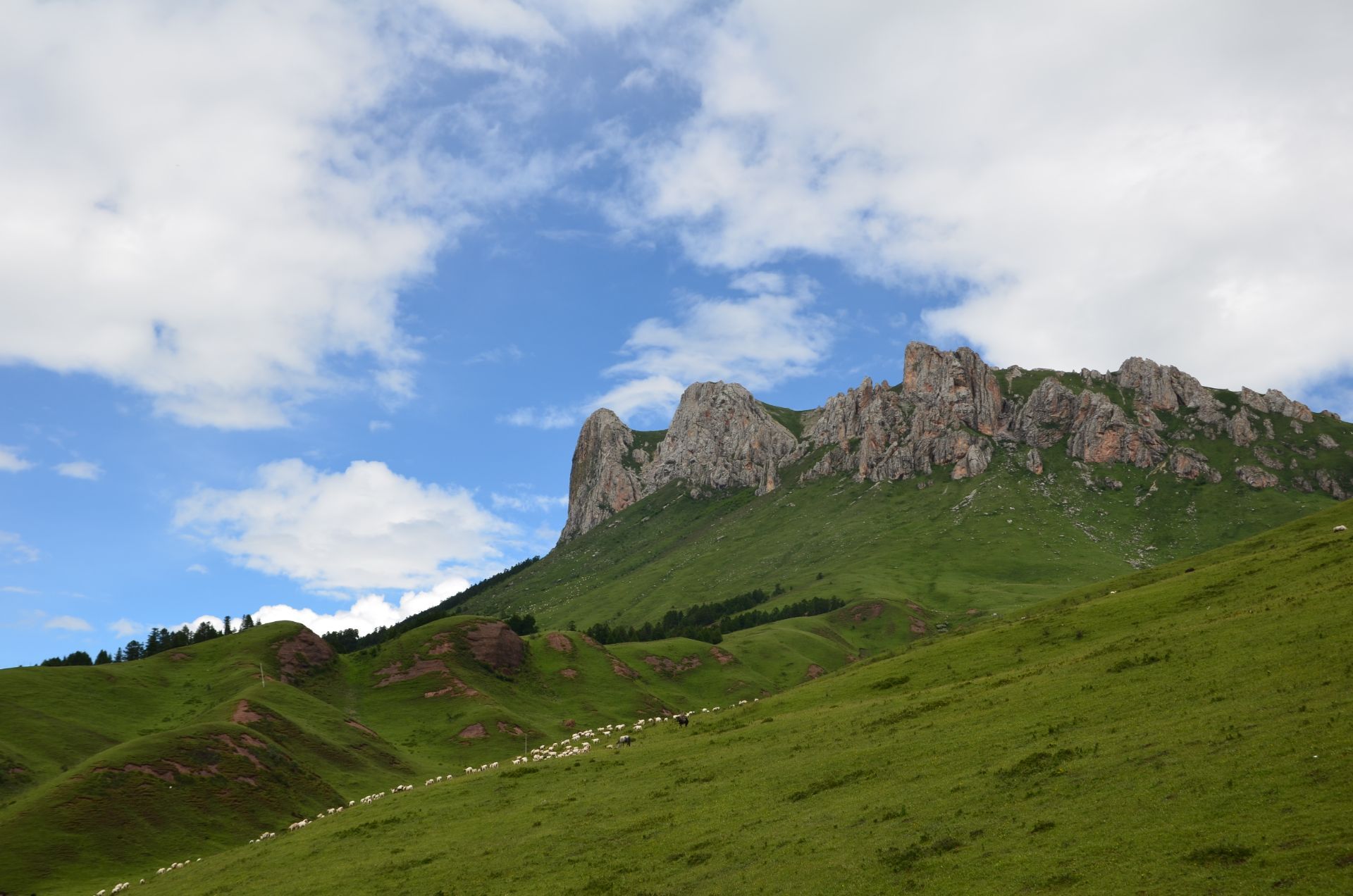 2021红石崖-旅游攻略-门票-地址-问答-游记点评，郎木寺旅游旅游景点推荐-去哪儿攻略