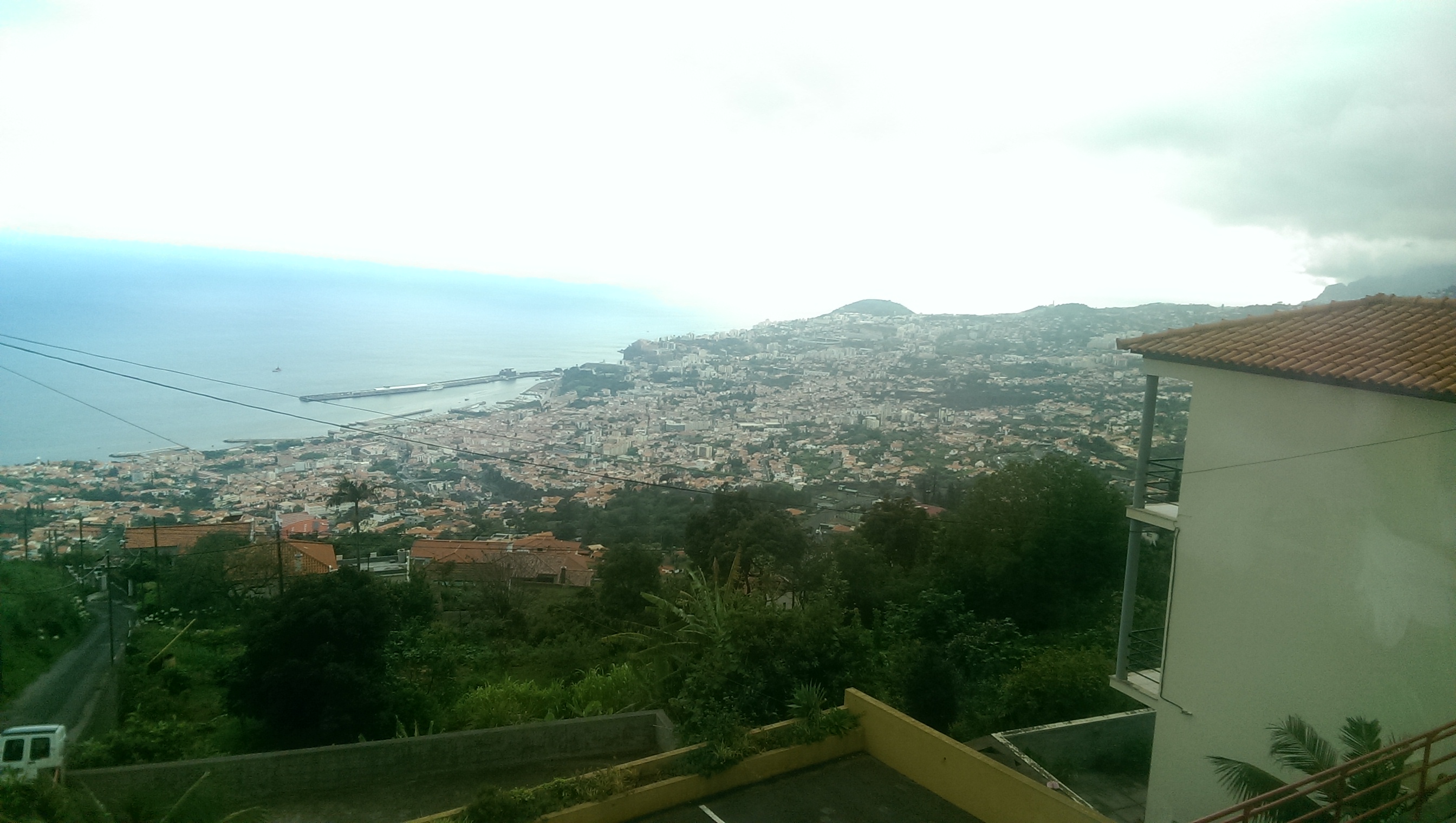 2024Restaurante Planka美食餐厅,Really delicious fish food ...【去哪儿攻略】