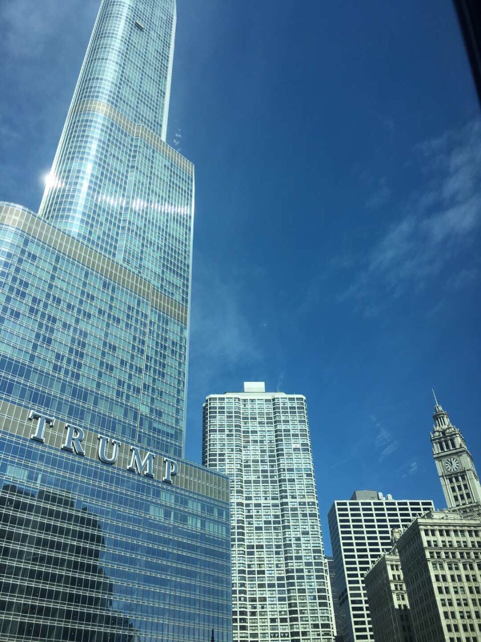 2025芝加哥当代艺术博物馆游玩攻略,...高，种类多，累得不行了也...【去哪儿攻略】