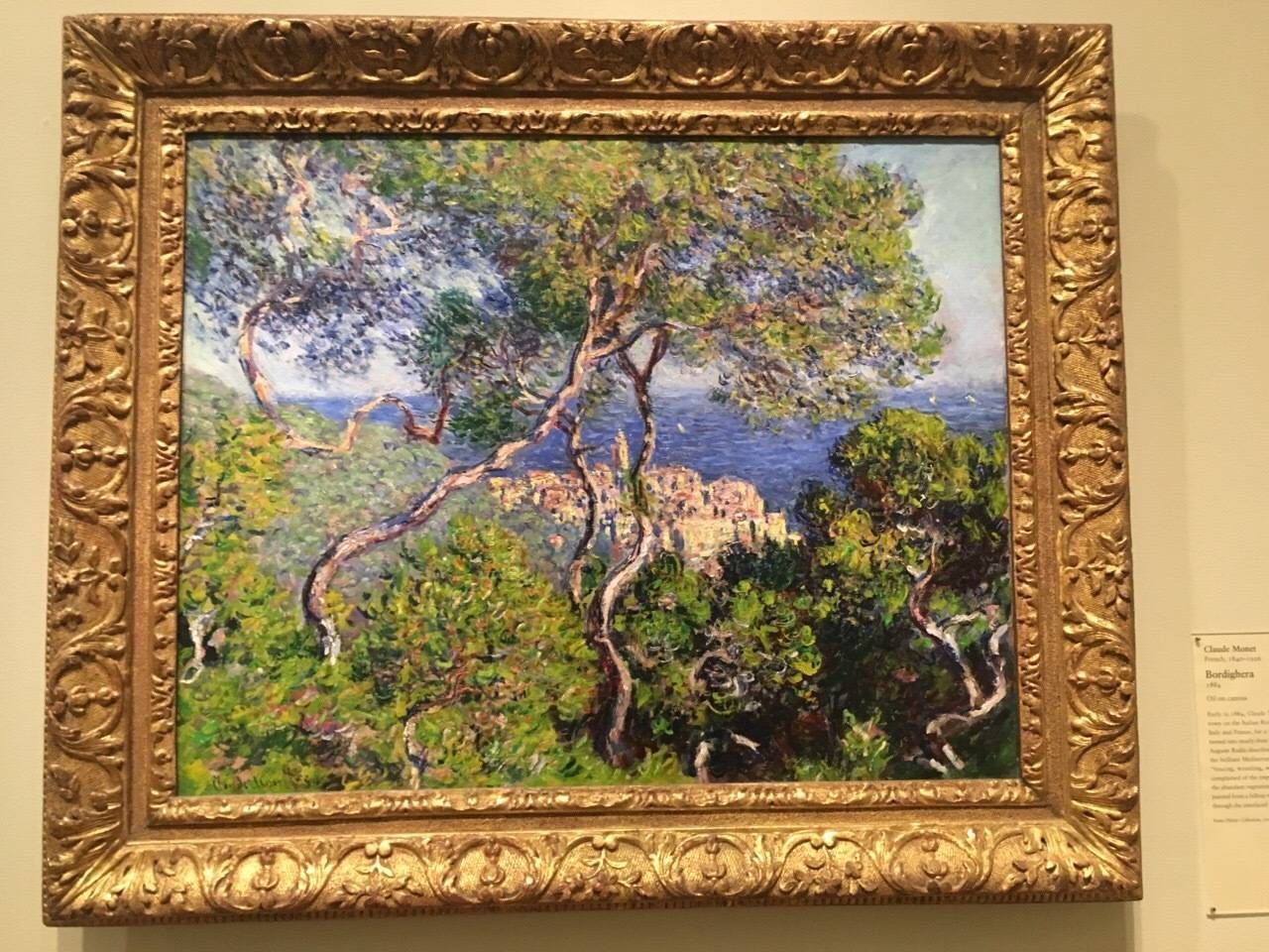 2019芝加哥艺术博物馆_旅游攻略_门票_地址_游记点评,芝加哥旅游景点推荐 - 去哪儿攻略社区