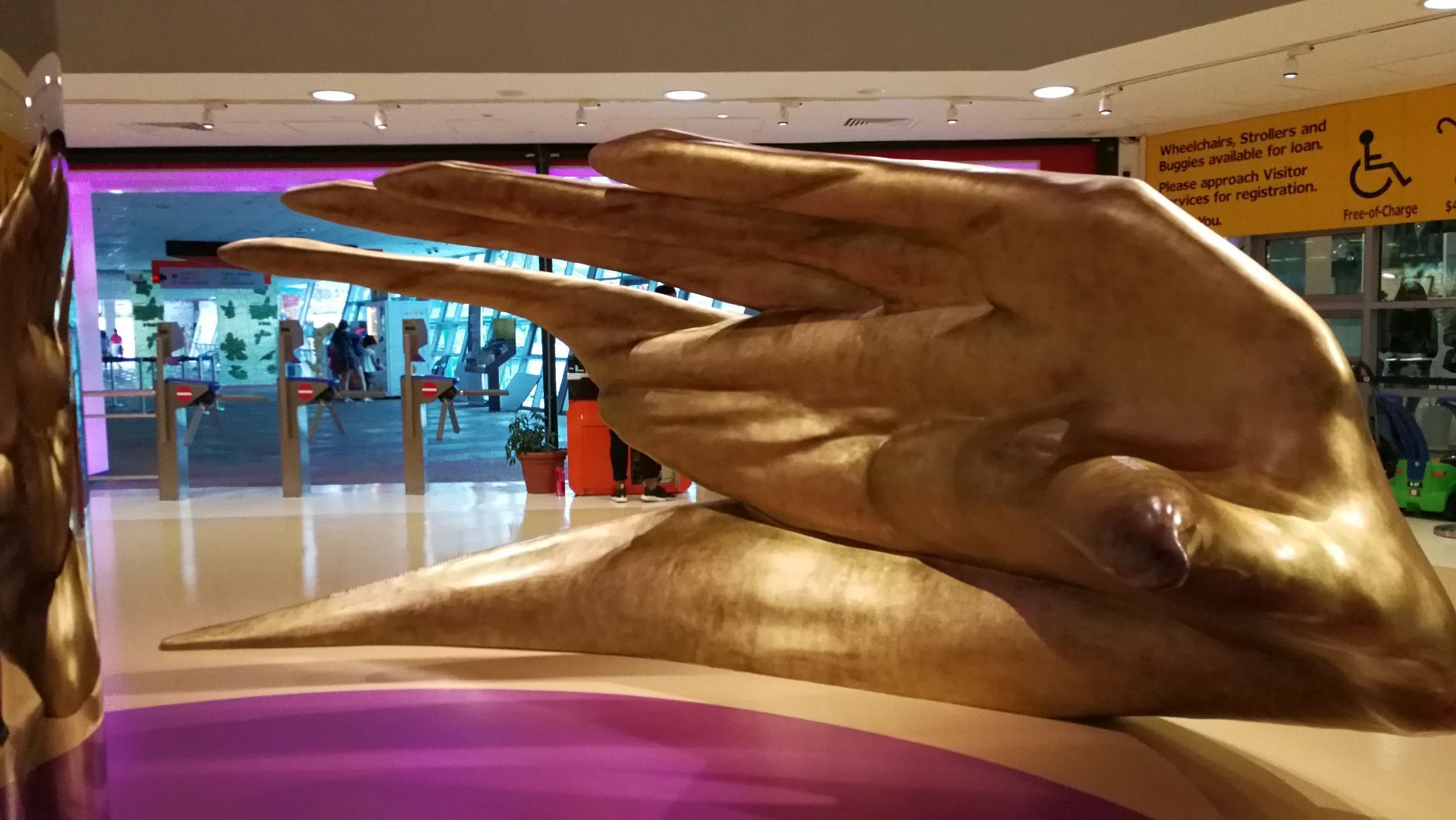 新加坡科学中心攻略,新加坡科学中心门票/游玩攻略/地址/图片/门票价格【携程攻略】