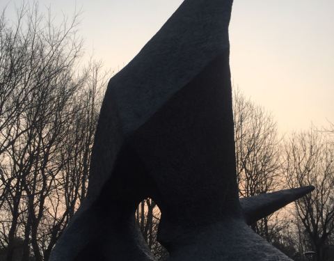 2025七桥瓮生态湿地公园门票,南京七桥瓮生态湿地公园游玩攻略,七桥瓮生态湿地公园游览攻略路线/地址/门票价格-【去哪儿攻略】