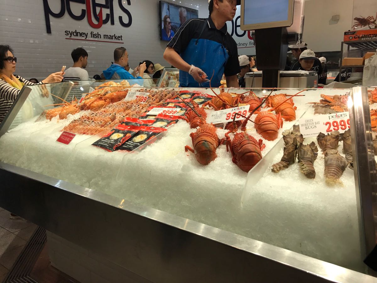 sydneyfish,sydneyders,sydney_大山谷图库