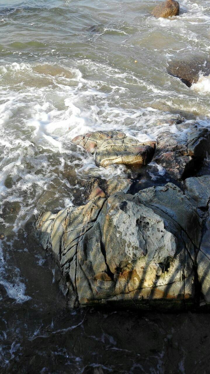 2024香港黄金海岸游玩攻略,黄金海岸是香港新界屯门不错...【去哪儿攻略】