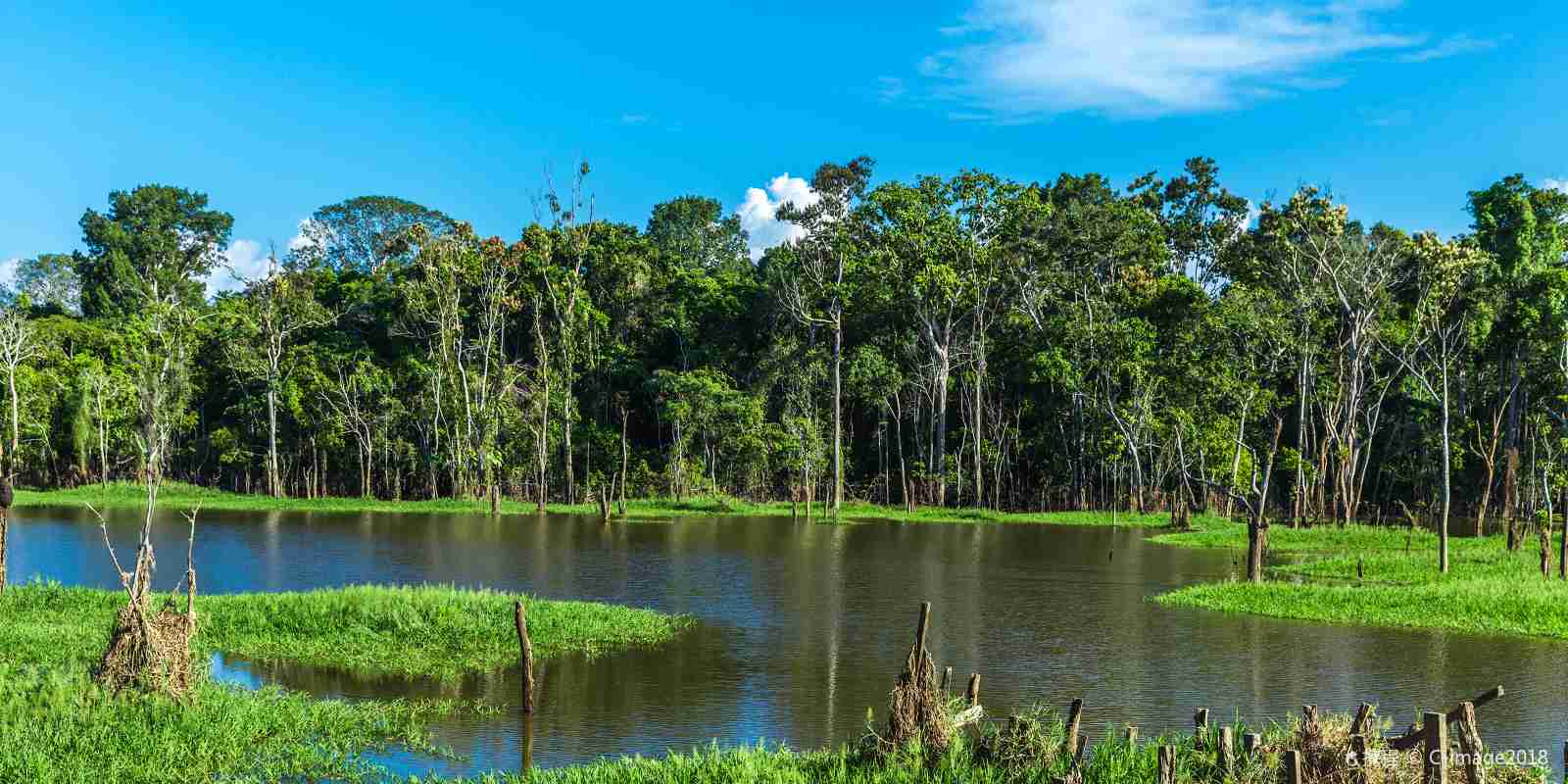 Best Hotels With Swimming pool & Deals in Amazonas, Brazil | Trip.com