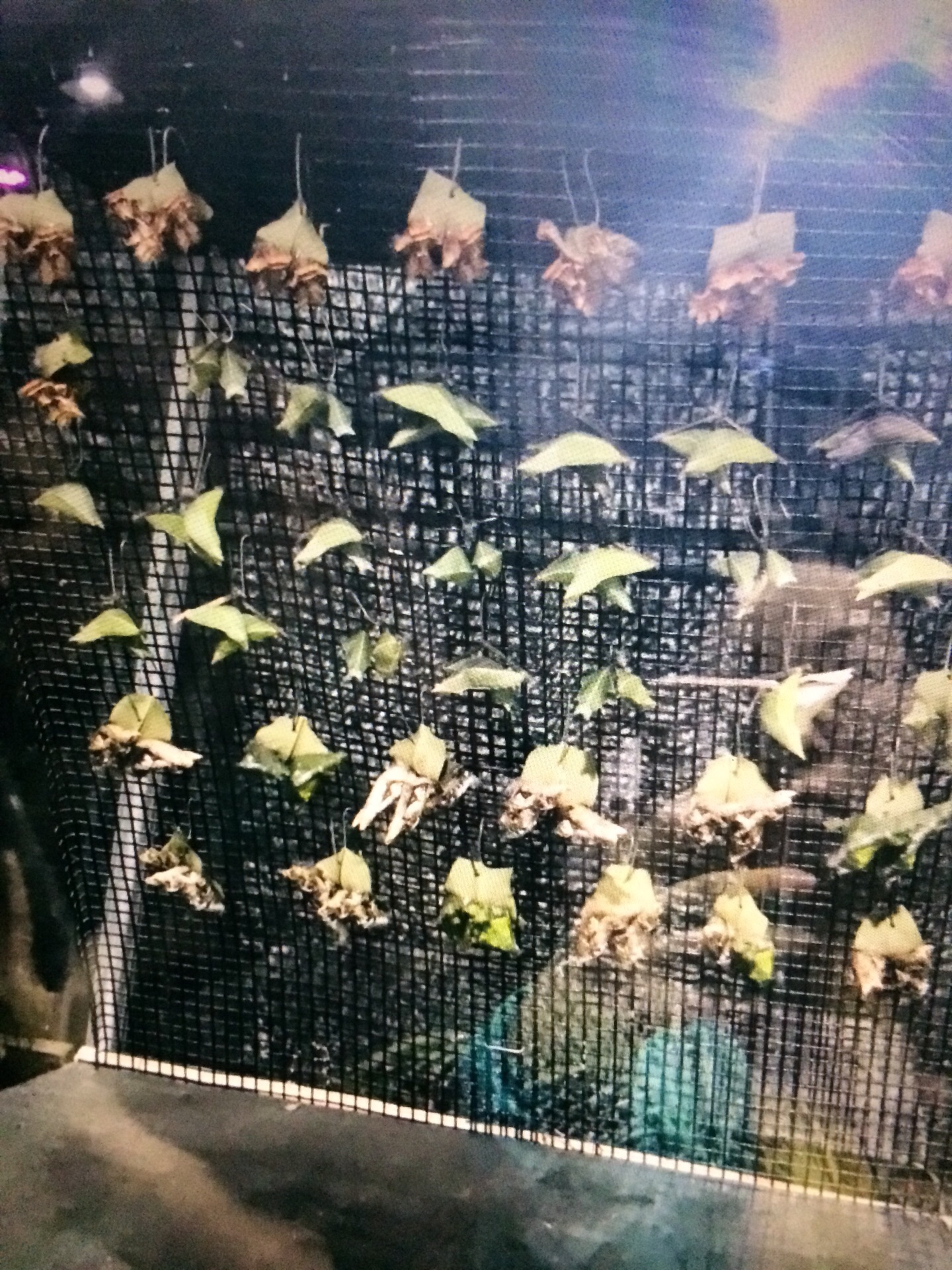 新加坡科学中心攻略,新加坡科学中心门票/游玩攻略/地址/图片/门票价格【携程攻略】