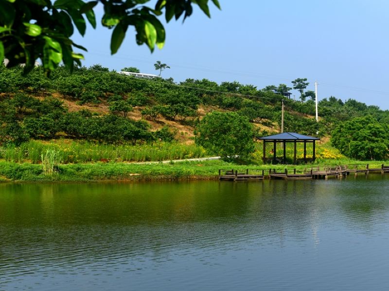 松滋洈水景区攻略-洈水景区门票价格多少钱-团购票价预定优惠-景点地址图片-【携程攻略】