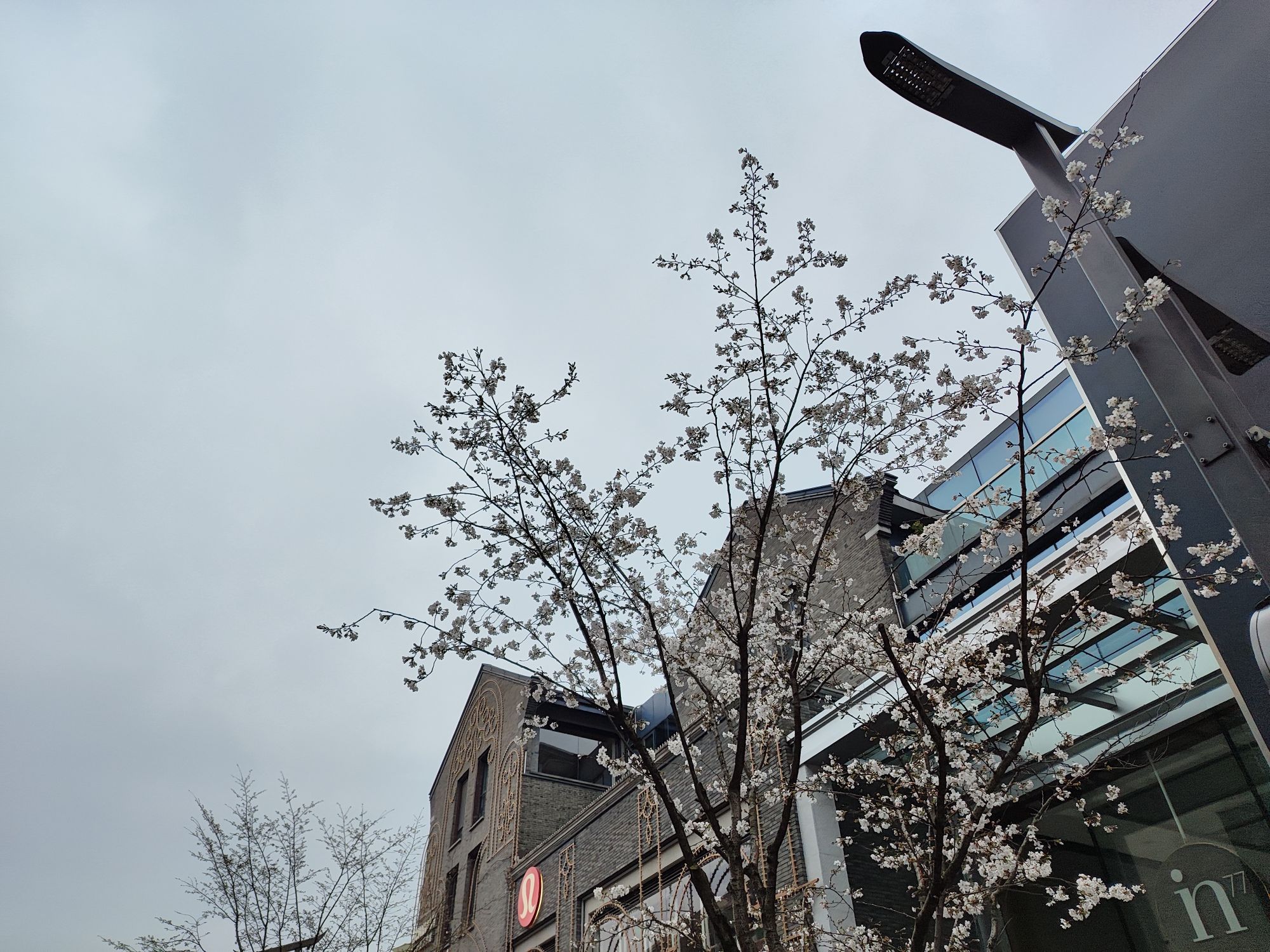 杭州湖滨银泰IN77购物攻略,湖滨银泰IN77物中心/地址/电话/营业时间【携程攻略】